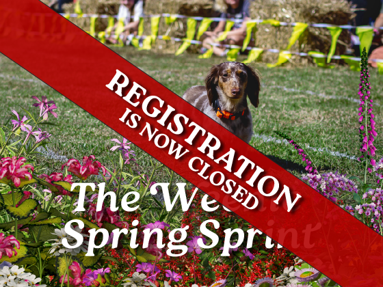 The Weenie Spring Sprint | McDonald Garden Center